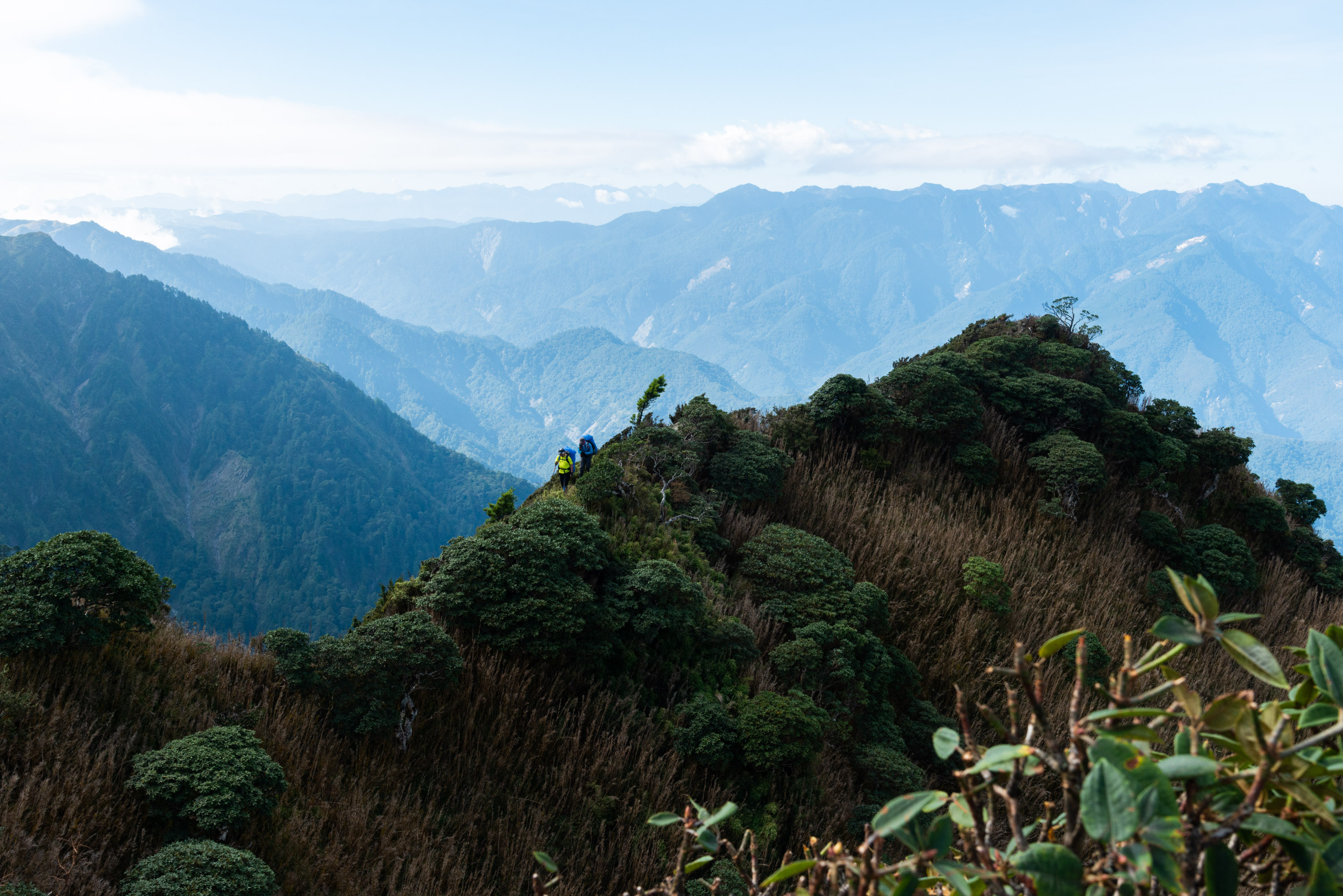 10_能高安東軍-2 | Negative Pop
