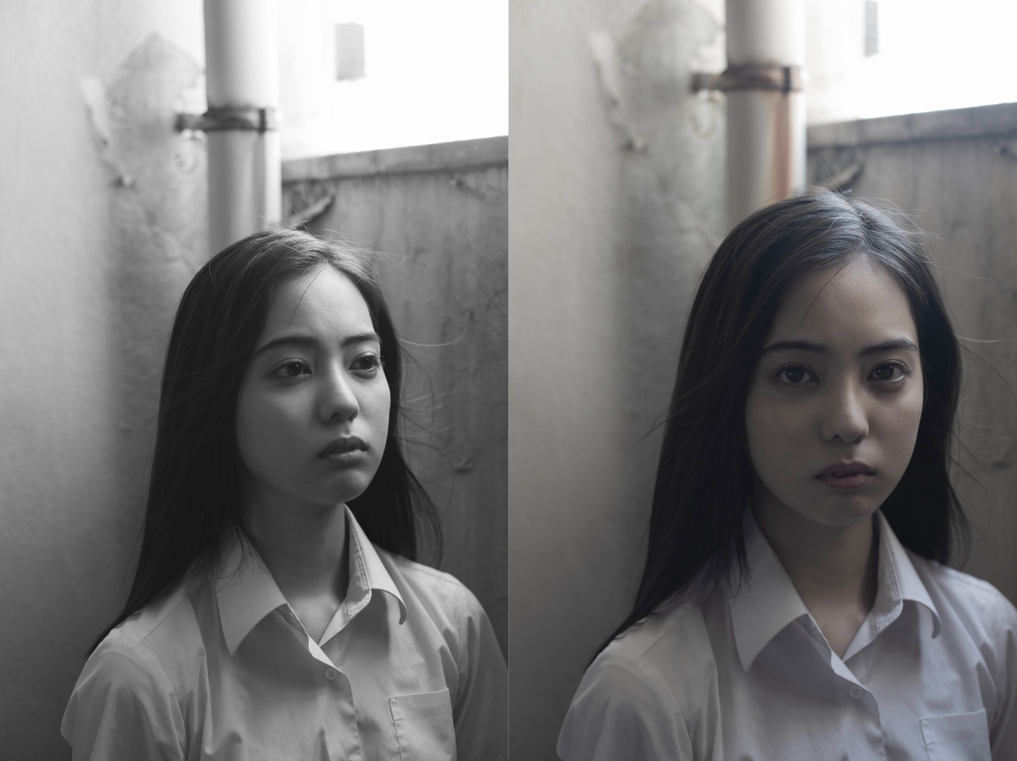 u_OMN0485-2 | Negative Pop