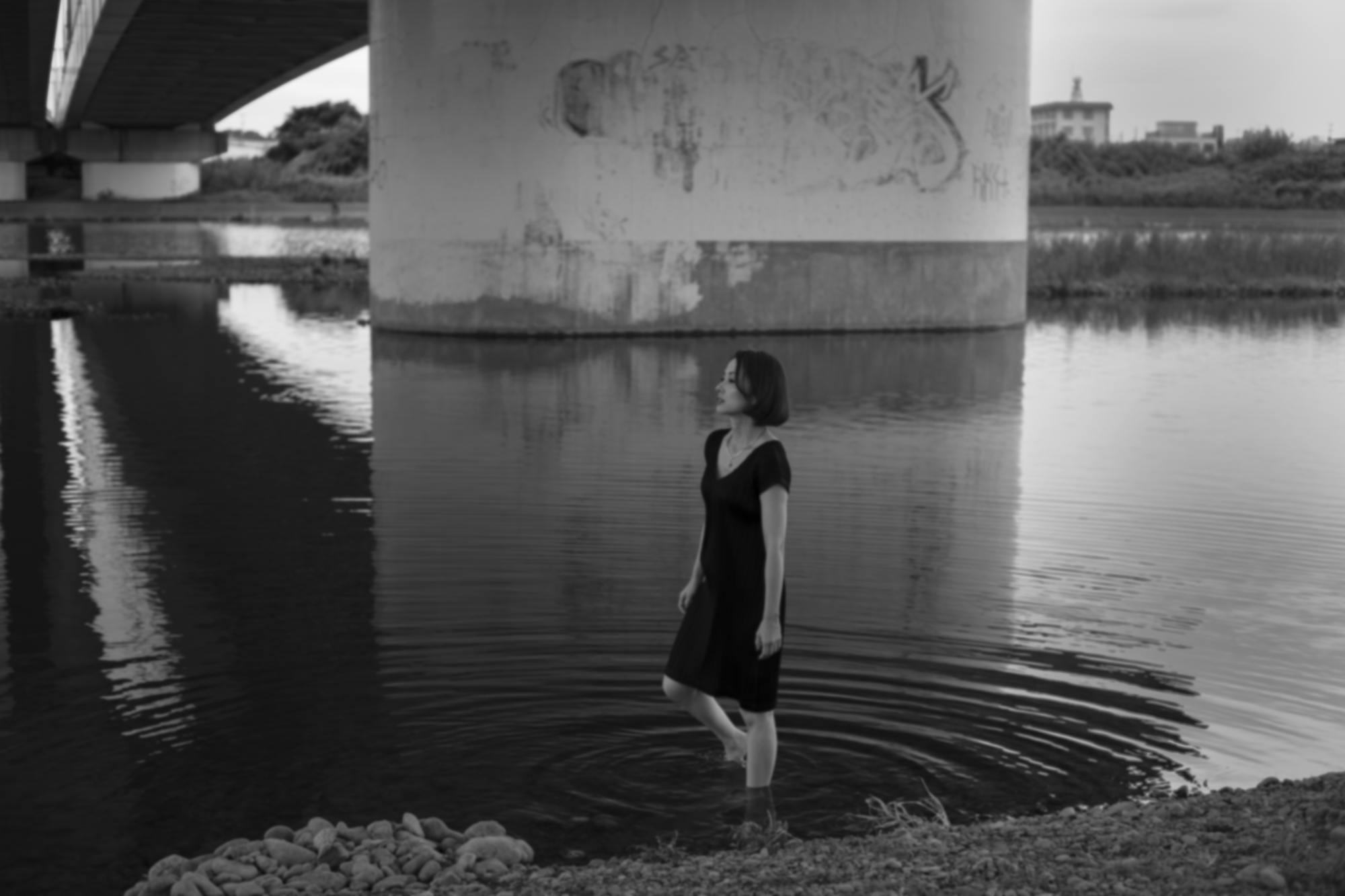 21re-_DSC0788 | Negative Pop