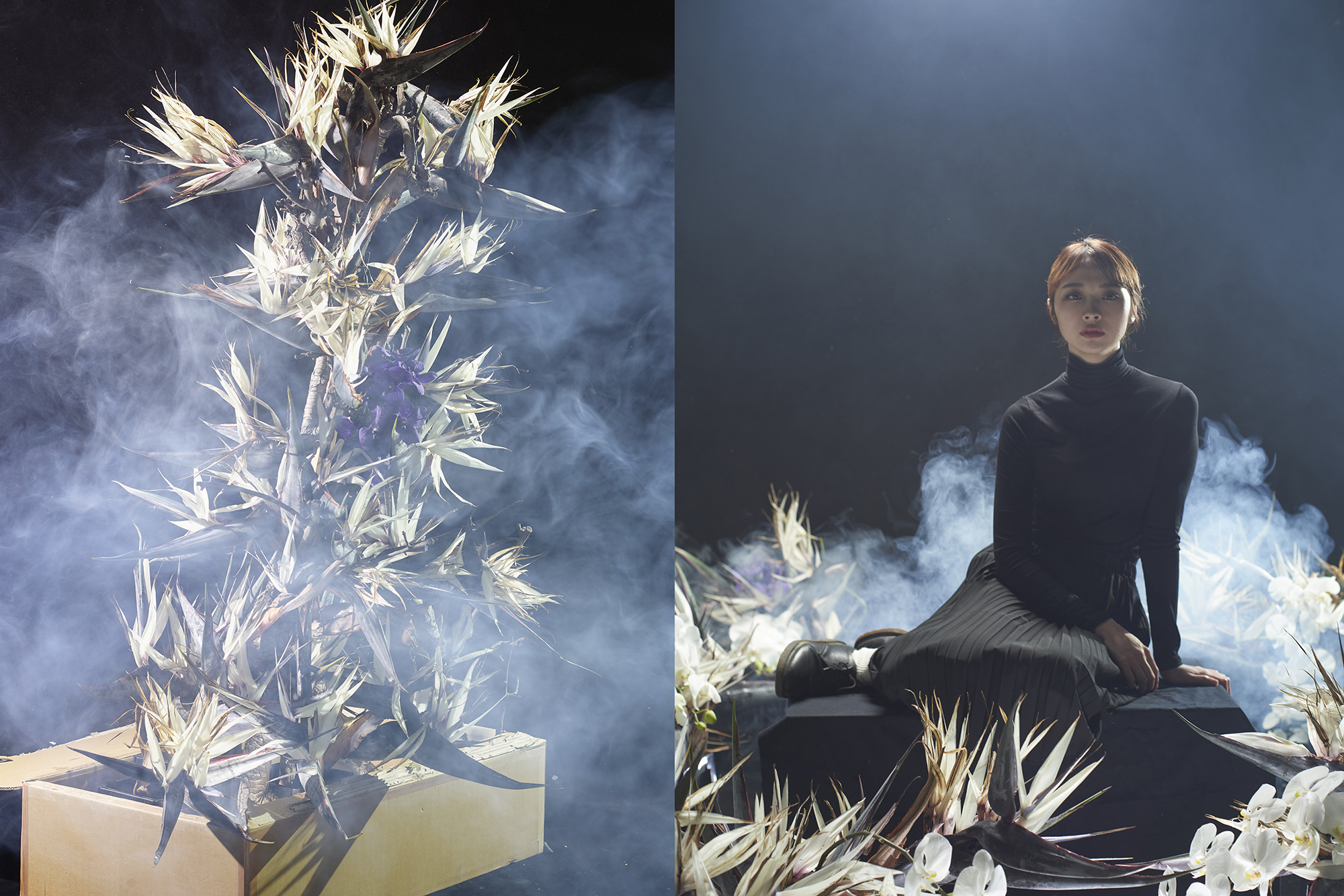 syousei1-003 | Negative Pop