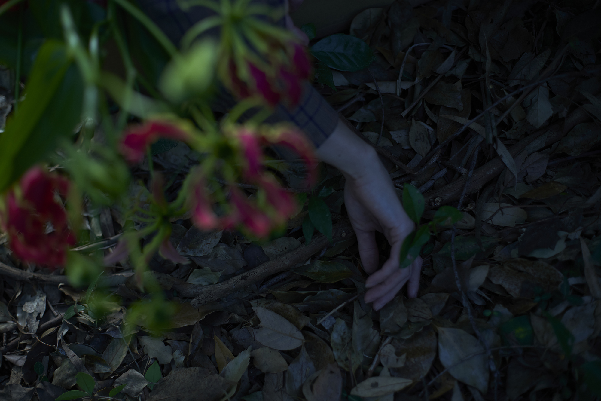 syousei2-001 | Negative Pop