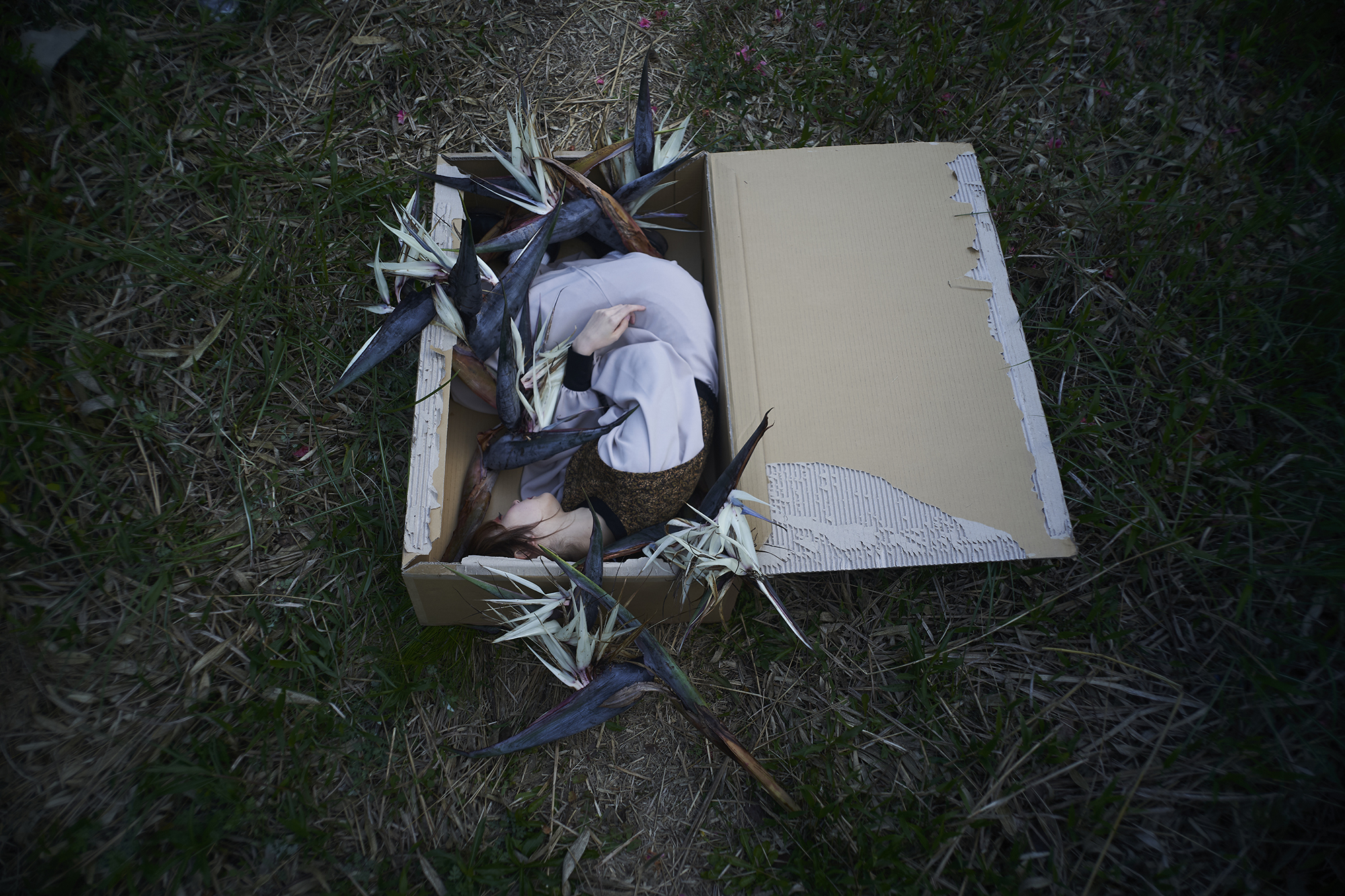 syousei3-003 | Negative Pop