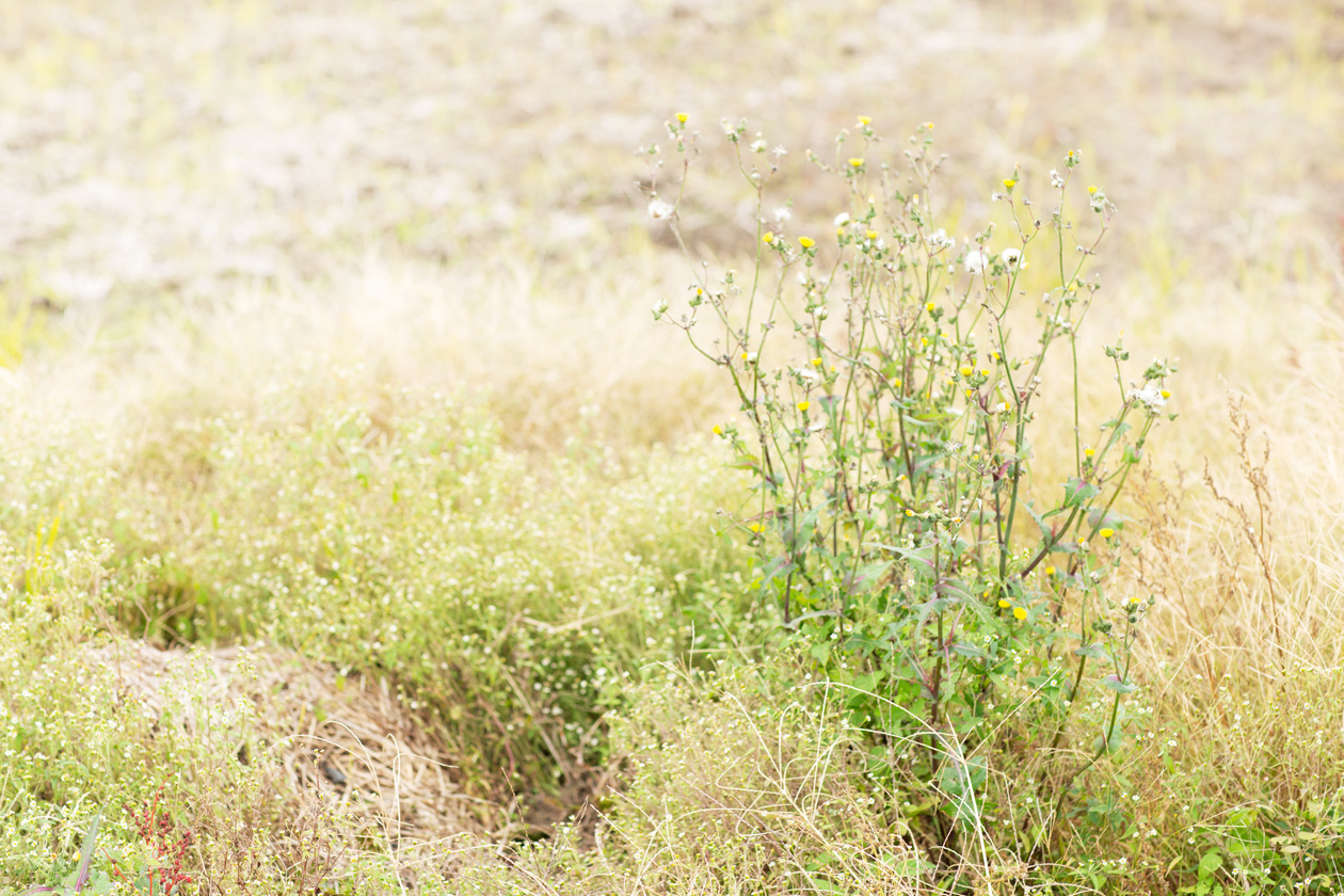 田畑志真「タイムカプセル」#36 | Negative Pop