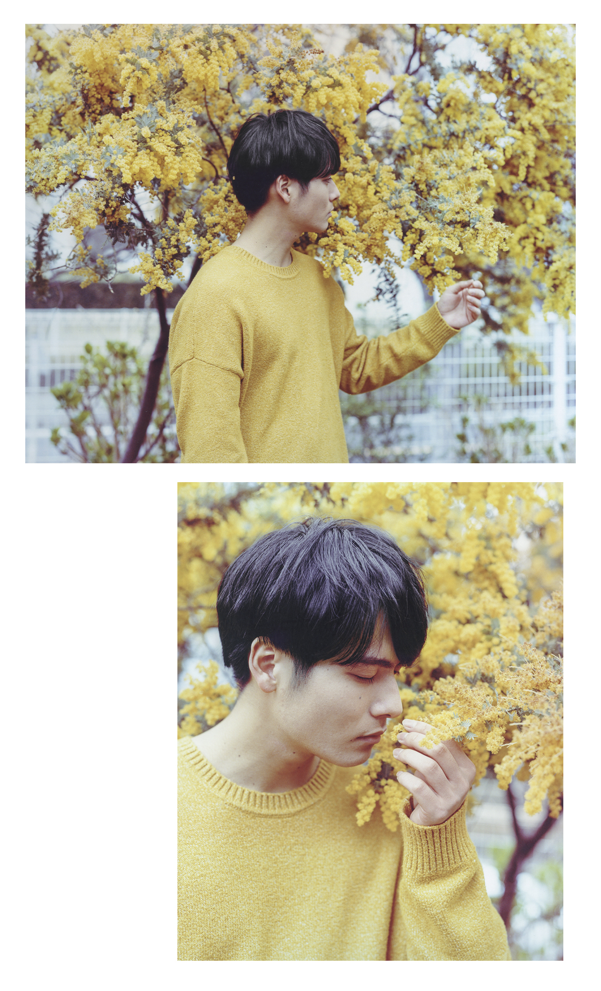 10_genten_2 | Negative Pop