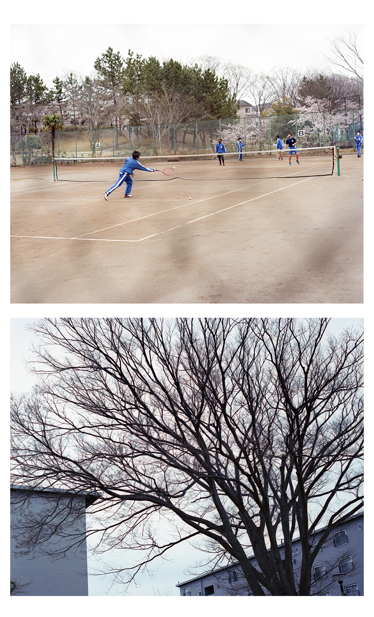 014_genten2_hirakawajo | Negative Pop