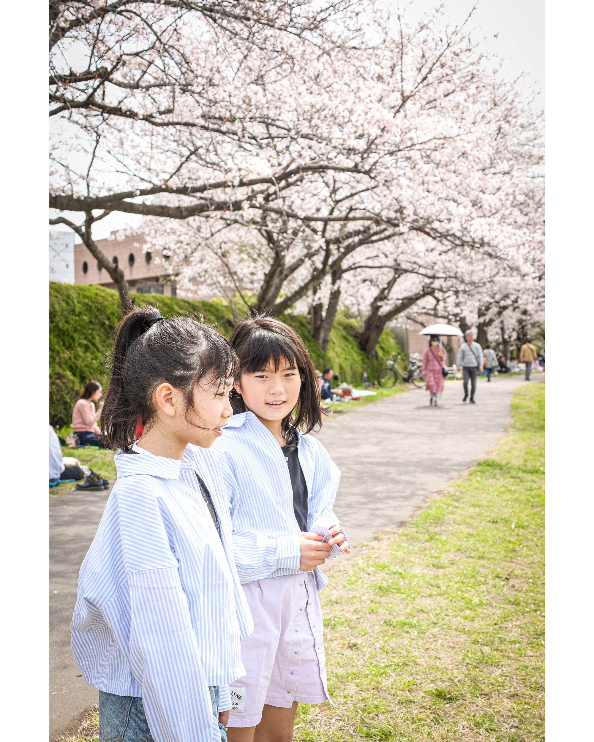 05_006 | Negative Pop