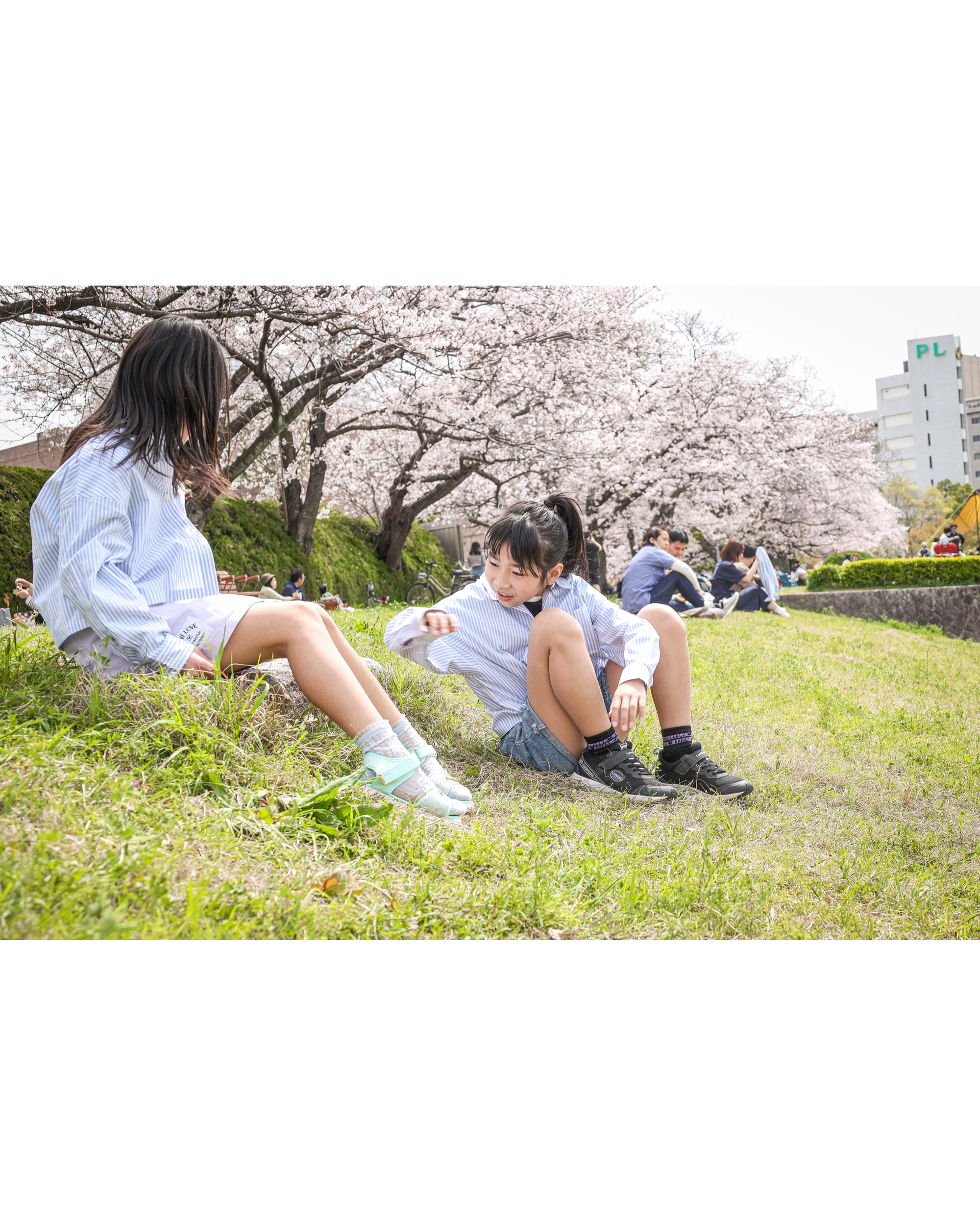 08_009-1 | Negative Pop