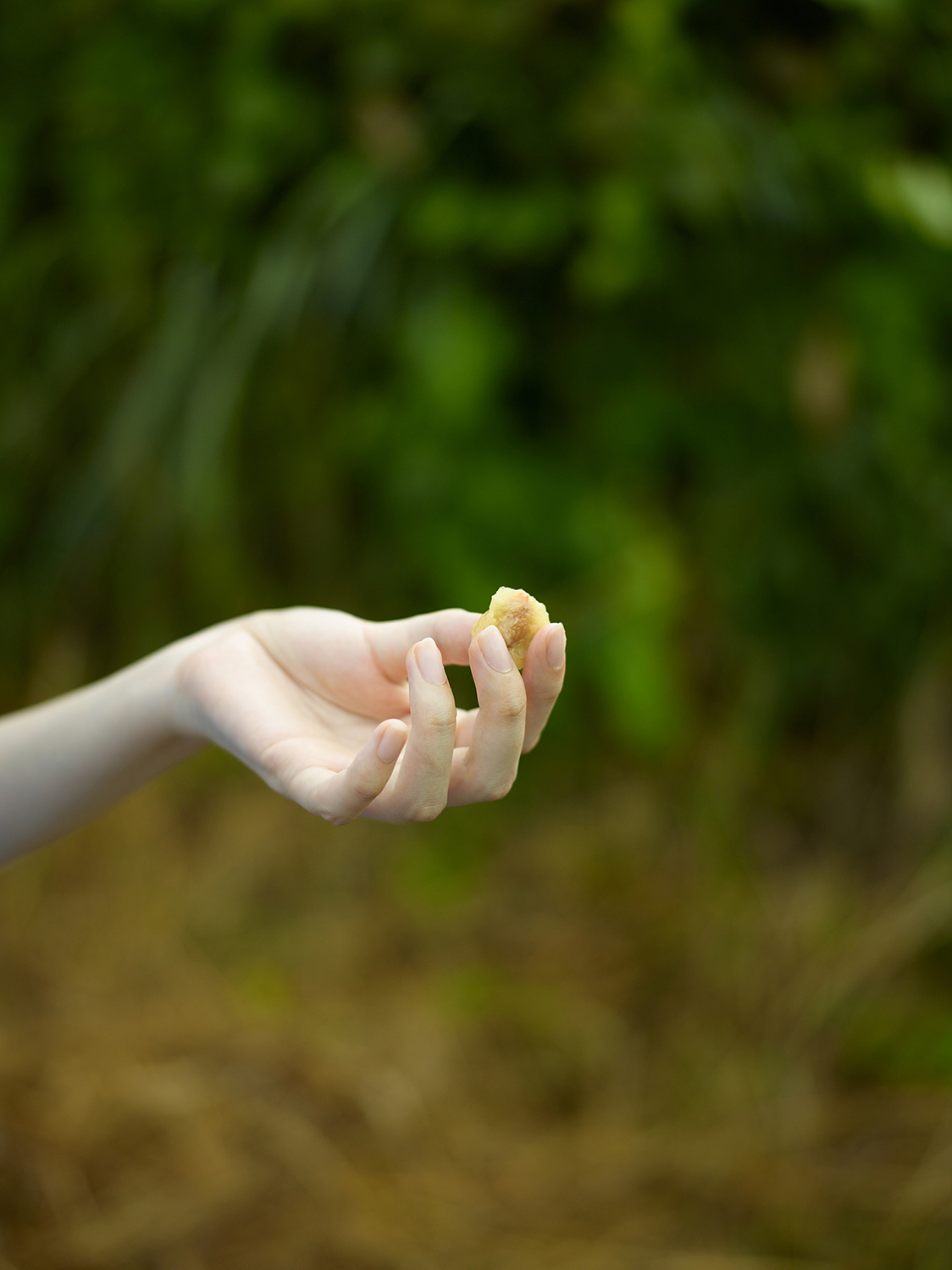 HyperFocal: 0 | Negative Pop