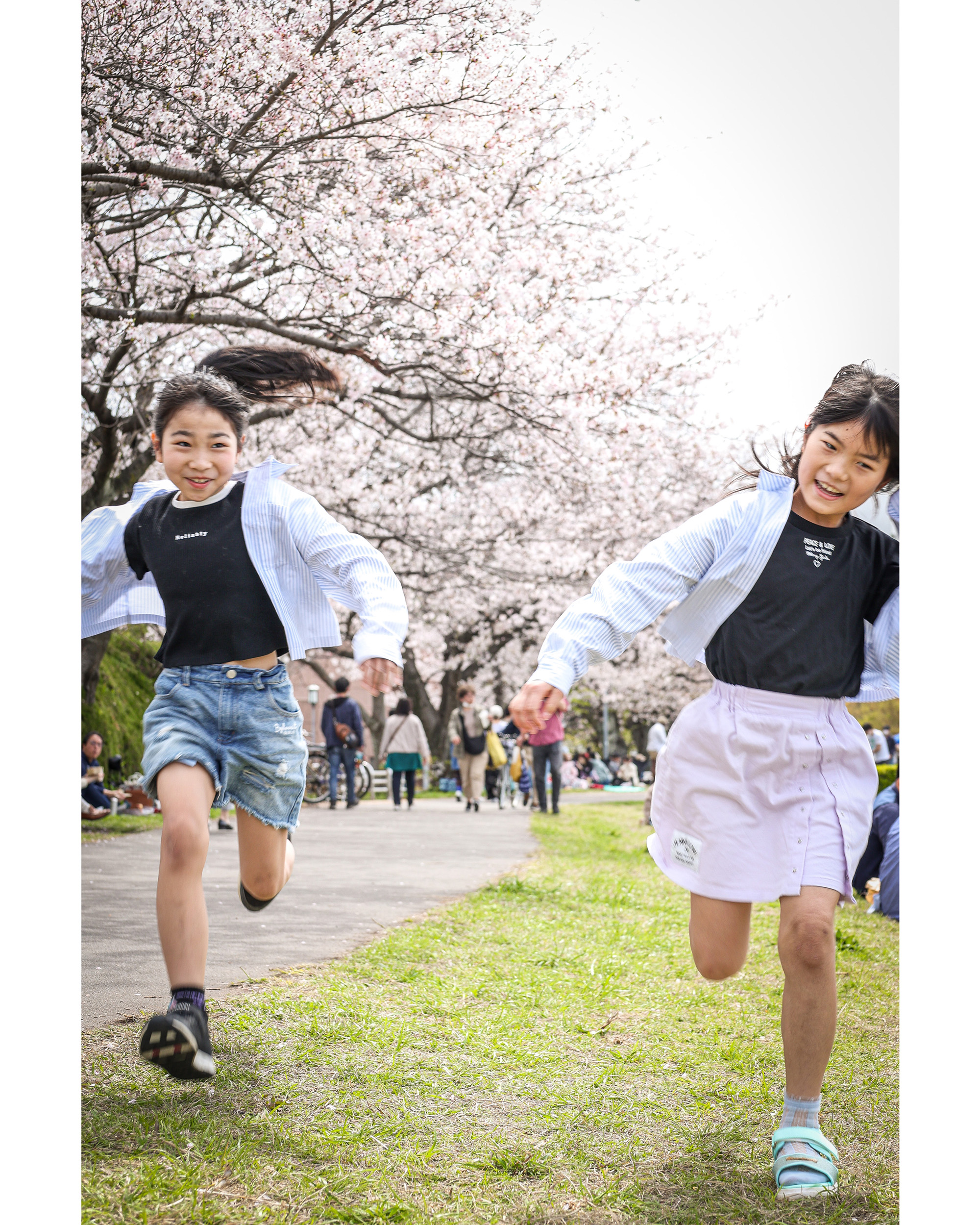 15_016 – Negative Pop